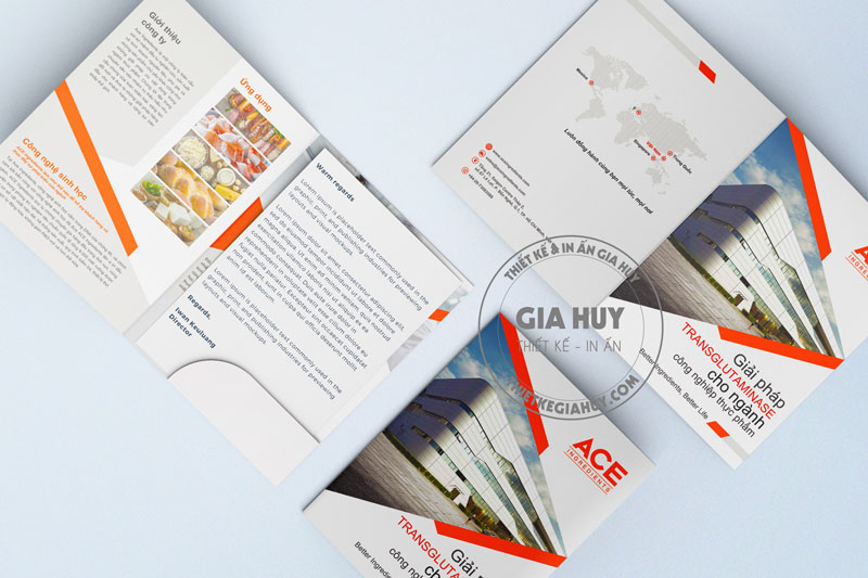 Tổng hợp các mẫu thiết kế Folder hot trend 2023 - In cực nét